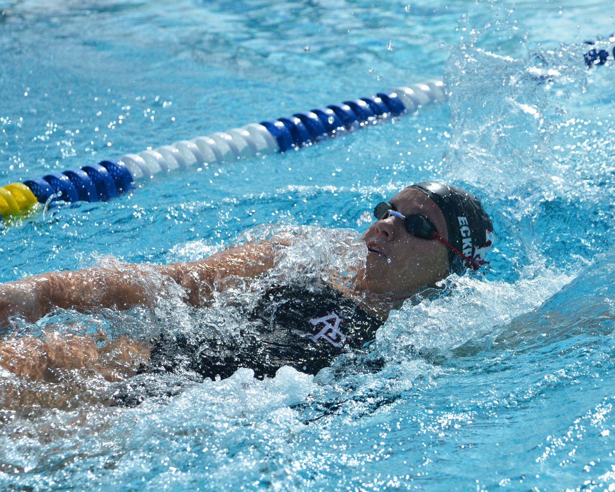 Youth lead the way for swimming and diving - ZU Media