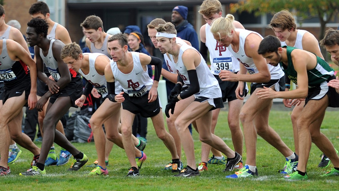 Cross country finishes well at final meet of the season - ZU Media