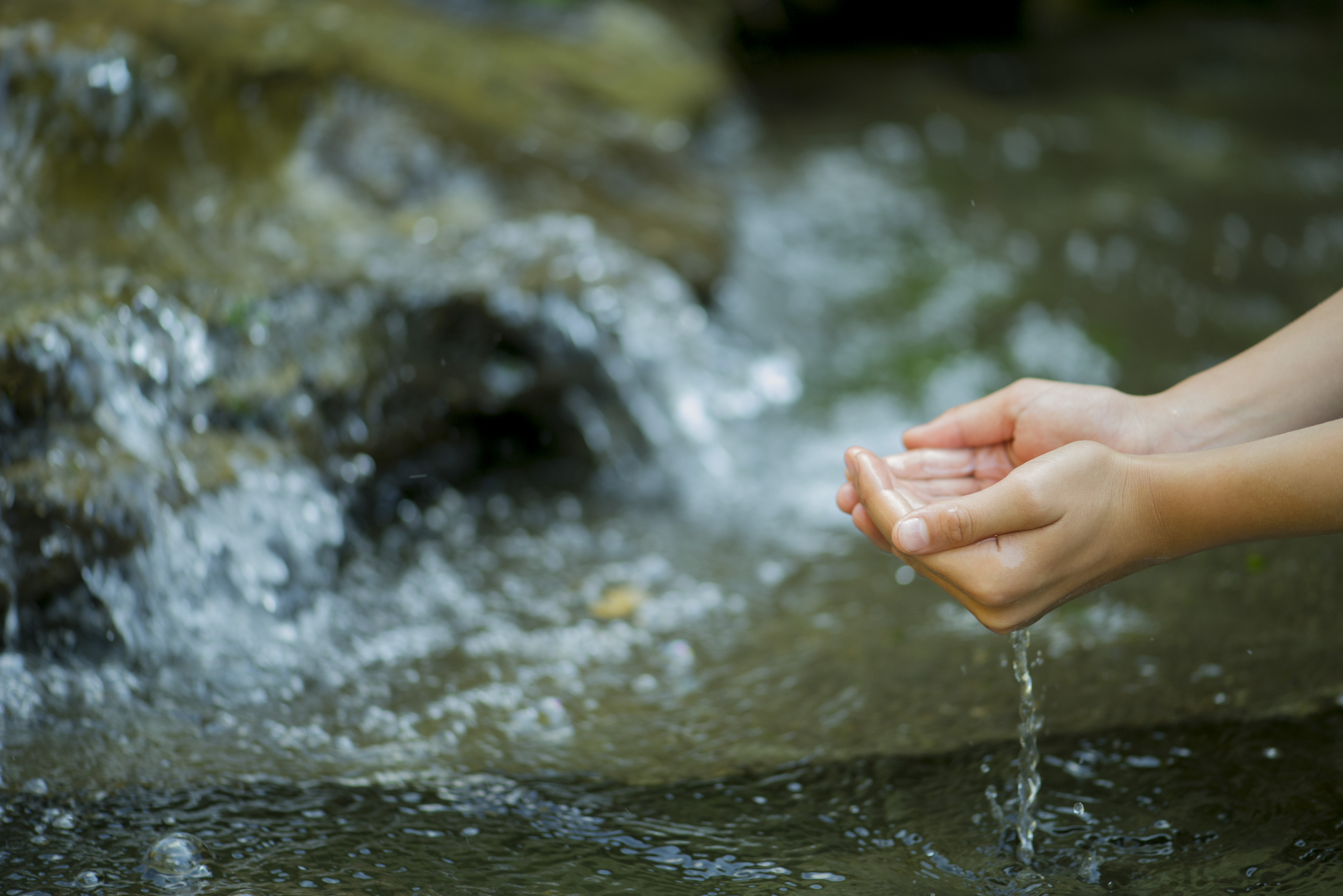 Examining APU’s water usage: Where we were, where we are, where we need ...